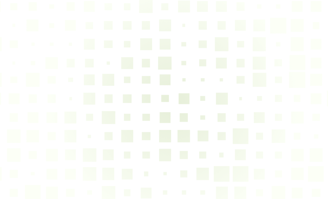 Ecoscooting Delivery